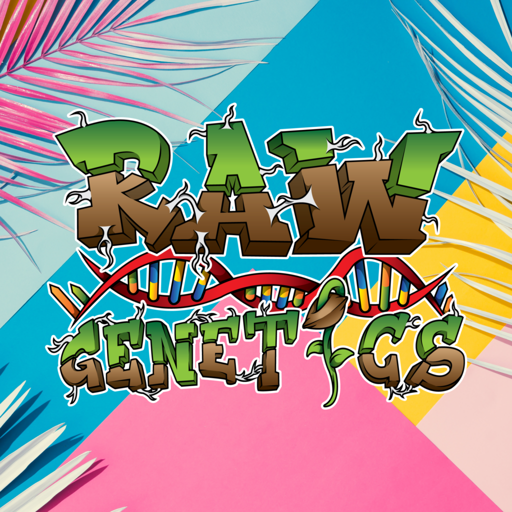 Rain Drops - Raw Genetics