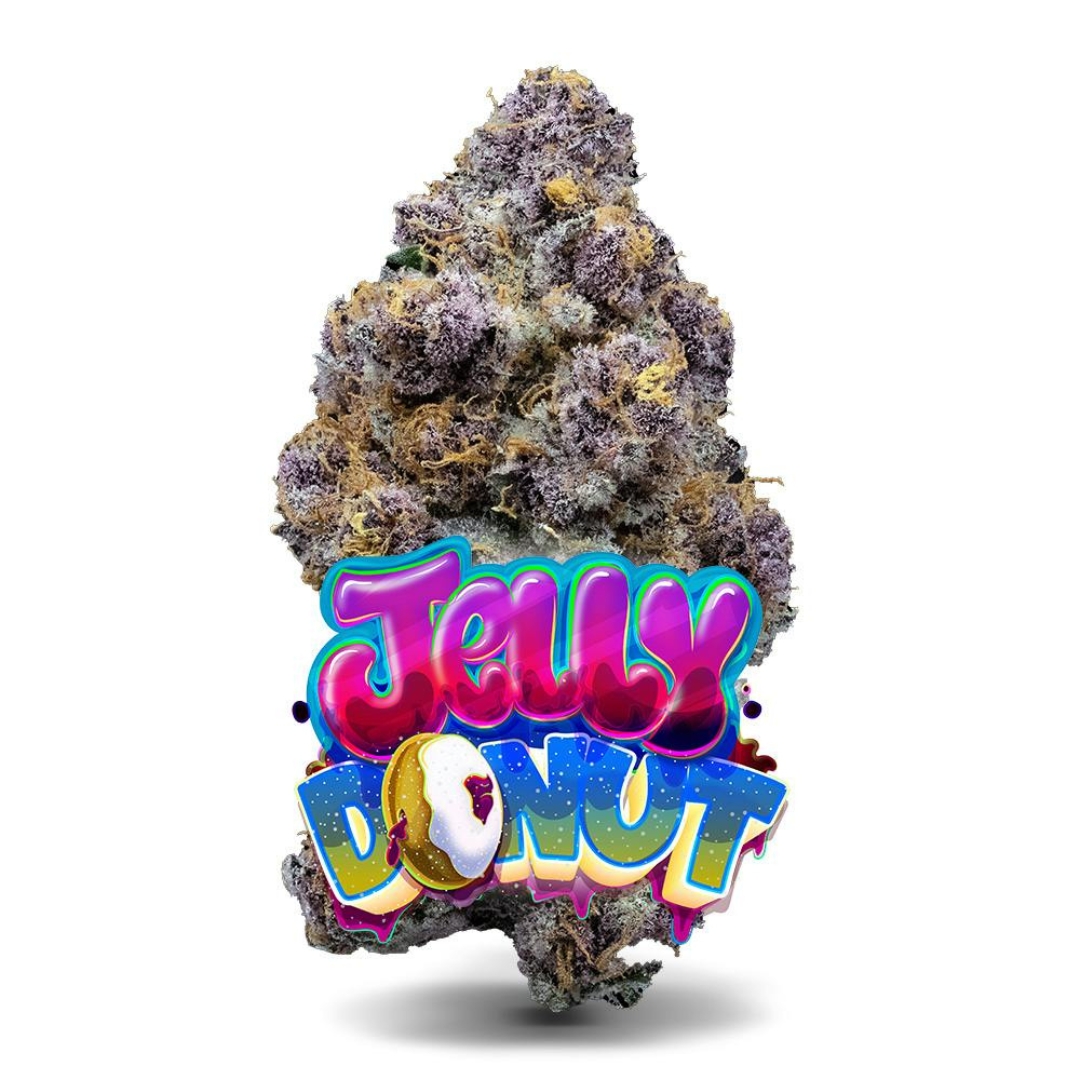 Jelly Donut Strain Review - Raw Genetics