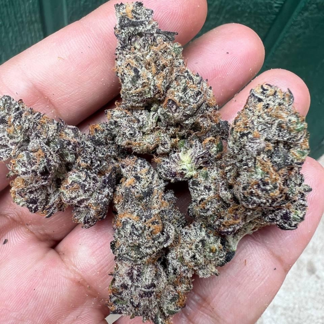 Candy Runtz Strain Review + Origin Story - Raw Genetics