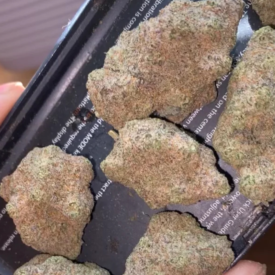 What Is PGR Weed? How To Spot The Difference - Raw Genetics