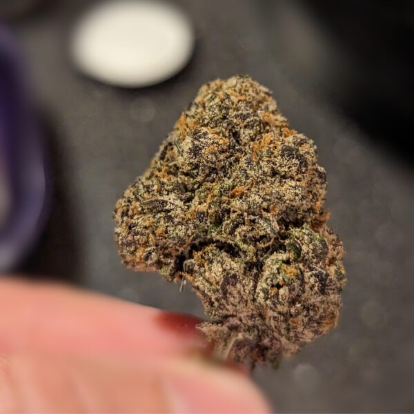 Gumbo Strain Review + Origin Story